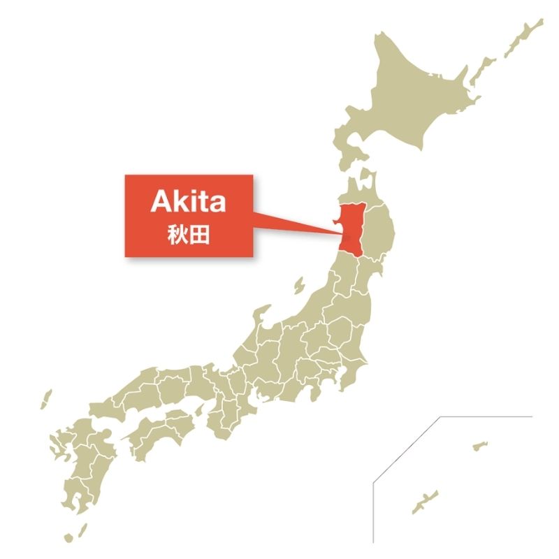 Akita Nhật Bản Có Gì? Trọn Bộ Kinh Nghiệm Khám Phá Vùng Đất Phía Bắc Xứ ...